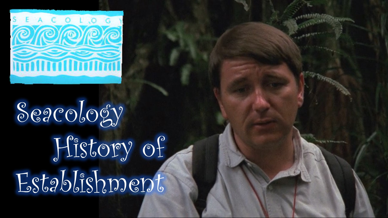 令和6年度(2024年度) フェロー募集 - Seacology Japan